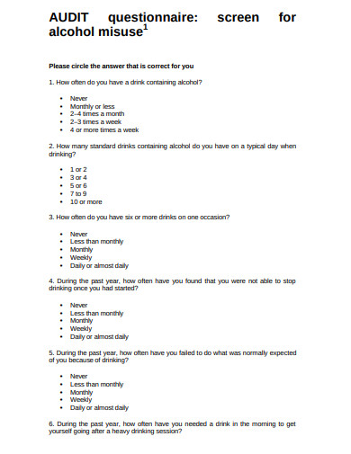 24+ Audit Questionnaire Templates - PDF, DOC