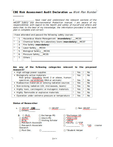 10+ Audit Assessment Templates in PDF | MS Word