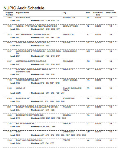 11+ Audit Schedule Templates in PDF | Word | Google Docs | Pages