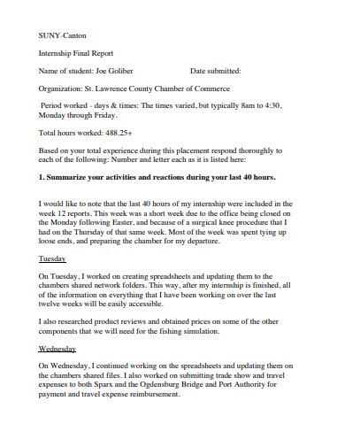 9+ Internship Final Report Templates in PDF | DOC