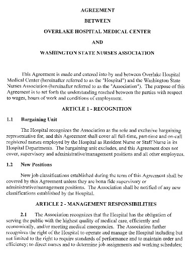5+ Nursing Contract Agreement Templates in PDF