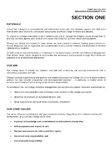 17+ Behaviour Management Plan Templates in PDF | DOC