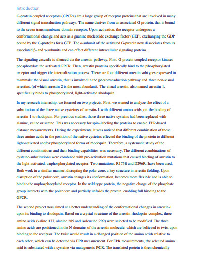 10+ Internship Report Templates in PDF | DOC