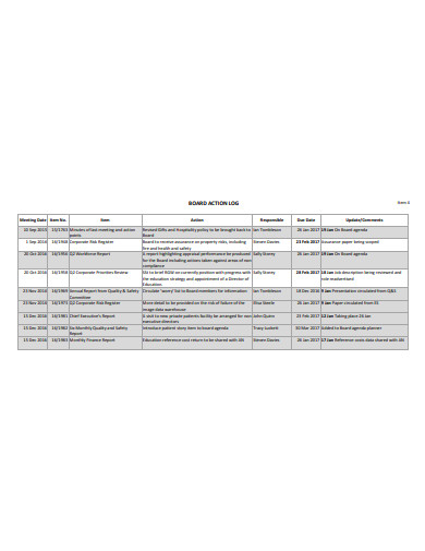 10+ Board Action Log Templates in PDF | DOC