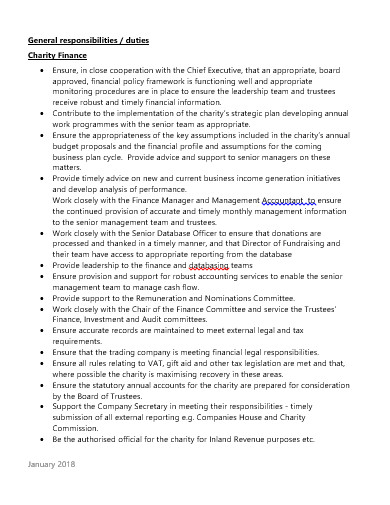 8+ Charity Budget Templates in PDF | DOC