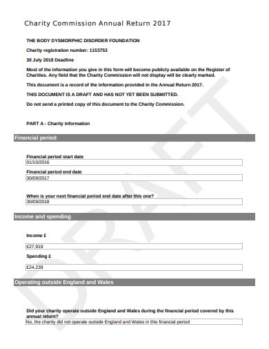 6+ Charity Management Accounts Templates in PDF