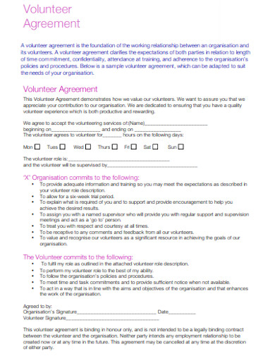 11+ Charity Volunteer Agreement Templates in PDF