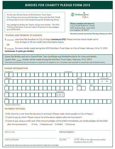 10+ Charity Pledge Form Templates in PDF | DOC