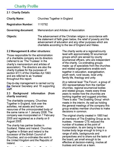 8+ Charity Profile Templates in PDF | DOC