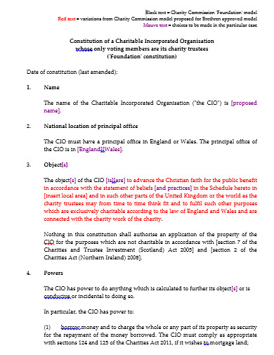 8+ Charity Constitution Templates in PDF | DOC