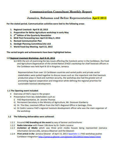 6+ Consultant Monthly Report Templates in PDF