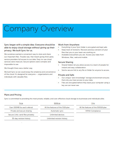 FREE 11 Company Overview Templates In PDF MS Word Blog H ng