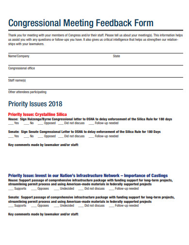 FREE 20+ Meeting Feedback Form Templates in PDF | MS Word