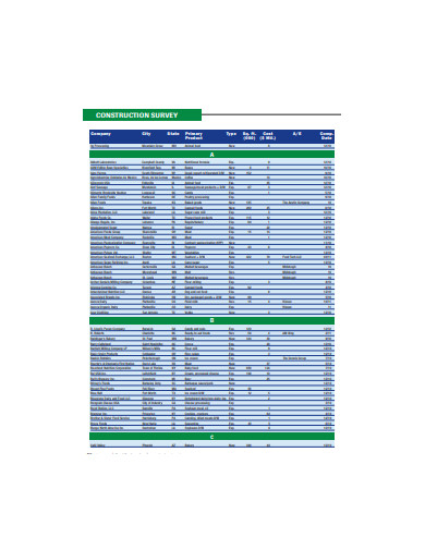 20+ FREE Construction Survey Templates in PDF | DOC