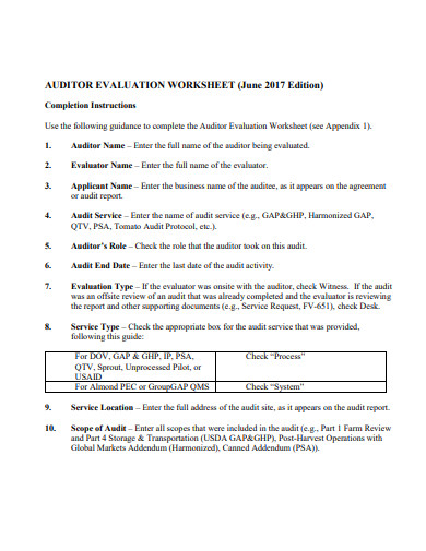 10+ Audit Worksheet Templates in PDF | DOC