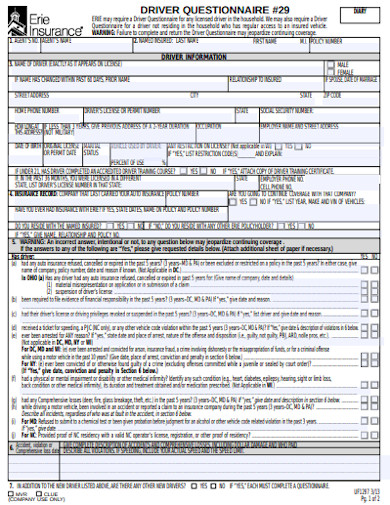 21+ Driver Questionnaire Templates in PDF | DOC | XLS