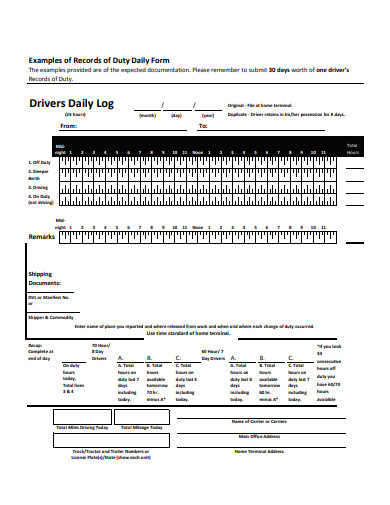 6+ Driving Daily Log Templates in PDF