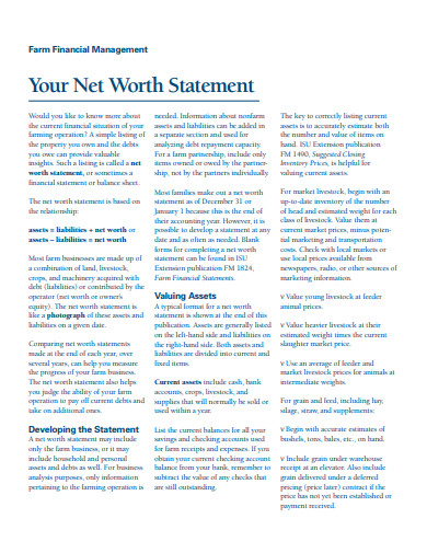 10+ Net Worth Statement Templates in PDF | XLS