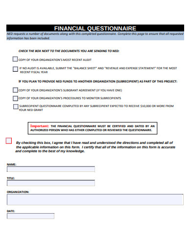 10+ Financial Questionnaire Templates in PDF | Microsoft Word