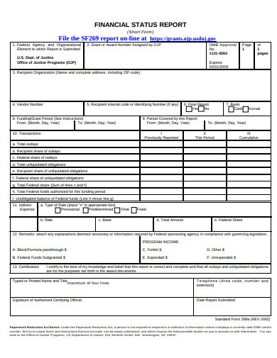 11+ Financial Status Report Templates in PDF | DOC