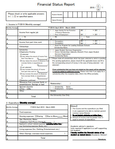 11+ Financial Status Report Templates in PDF | DOC