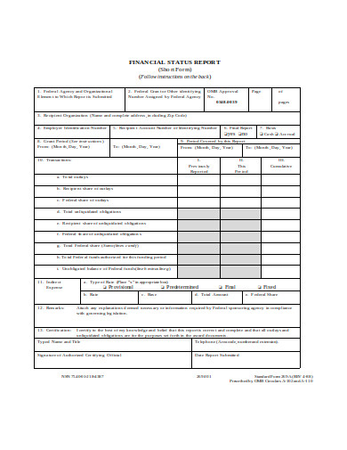 11+ Financial Status Report Templates in PDF | DOC