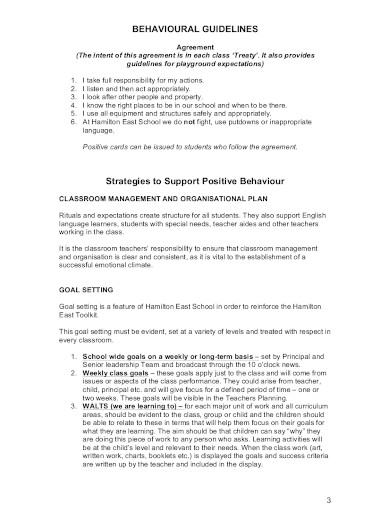 17+ Behaviour Management Plan Templates in PDF | DOC