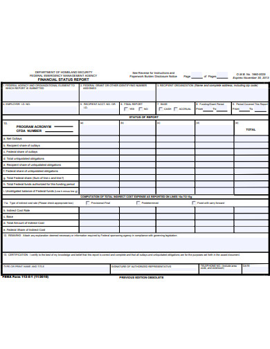 11+ Financial Status Report Templates in PDF | DOC