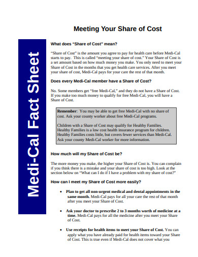 17+ Medical Fact Sheet Templates - PDF, DOC