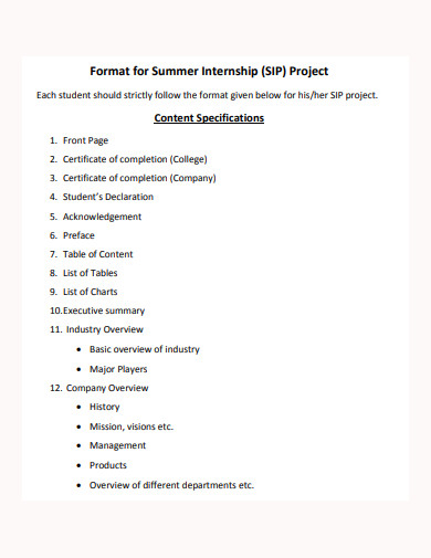 13+ Internship Project Report Templates in DOC | PDF