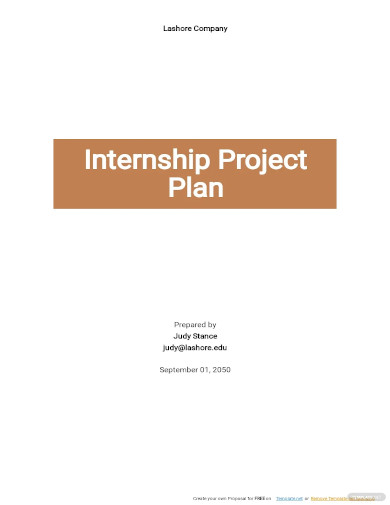14+ Internship Plan Templates in DOC | PDF