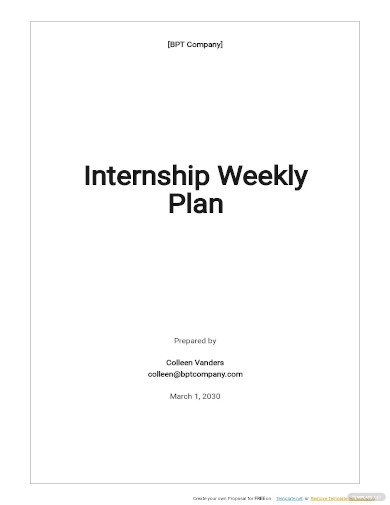 14+ Internship Plan Templates in DOC | PDF