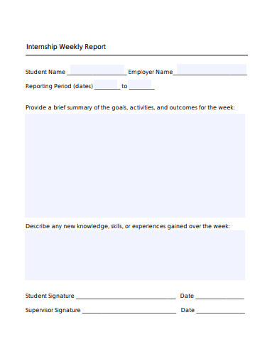 11+ Internship Weekly Report Templates in PDF | DOC
