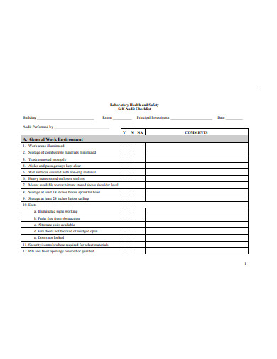 10+ Health and Safety Audit Checklist Templates in DOC | PDF