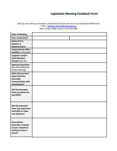 FREE 20+ Meeting Feedback Form Templates in PDF | MS Word