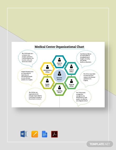 9+ Medical Chart Template - Free Word, Excel, PDF Format Download!