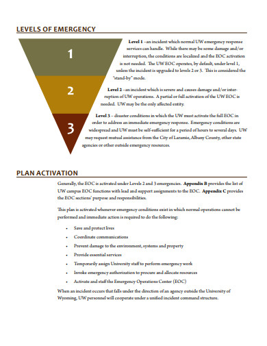 11+ Medical Emergency Response Plan Templates in PDF | DOC