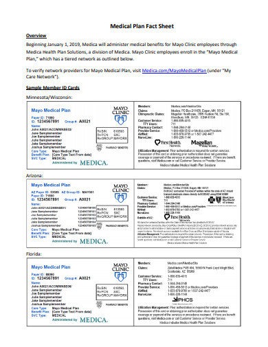 17+ Medical Fact Sheet Templates - PDF, DOC