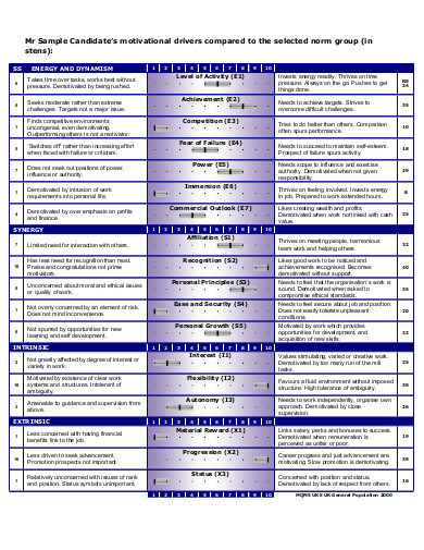 17+ Free Motivation Questionnaire Templates in PDF | Microsoft Word ...