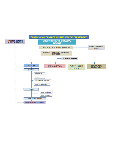 5+ Nursing Organizational Chart Templates in PDF