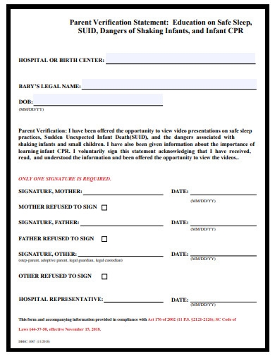 23+ Verification Statement Templates in PDF | DOC