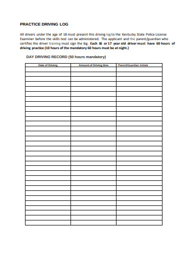 6+ Driving Daily Log Templates in PDF