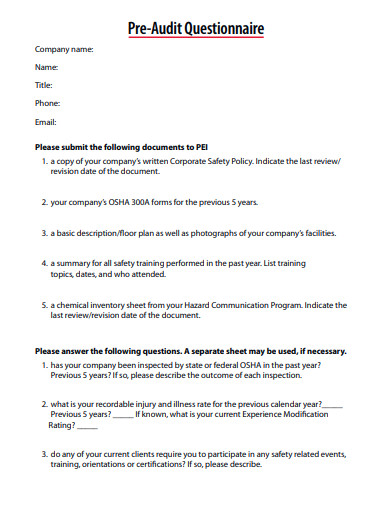 24+ Audit Questionnaire Templates - PDF, DOC