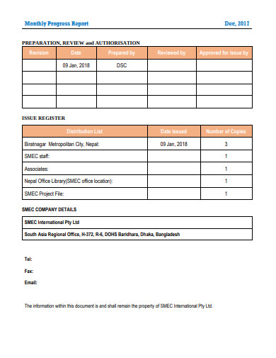 6+ Consultant Monthly Report Templates in PDF