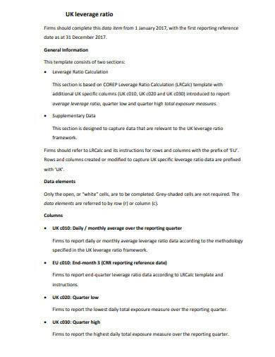 9+ Leverage Ratio Templates in PDF | DOC