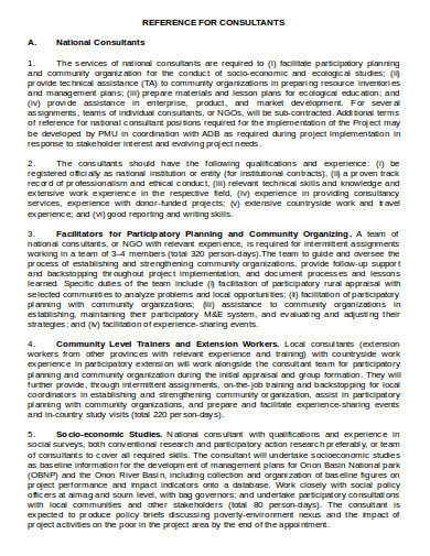 14+ Consultant Templates in Word