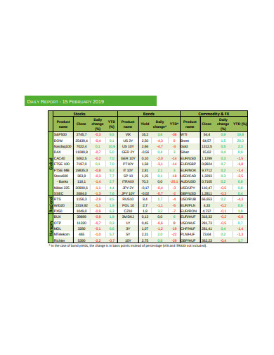 5+ Retail Daily Report Templates in PDF