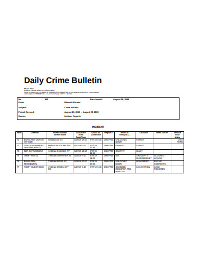 5+ Retail Daily Report Templates in PDF