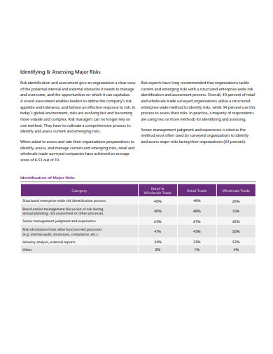 5+ Retail Risk Assessment Templates in PDF