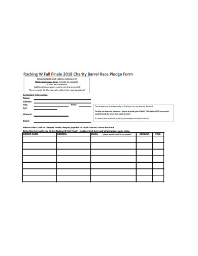 10+ Charity Pledge Form Templates in PDF | DOC